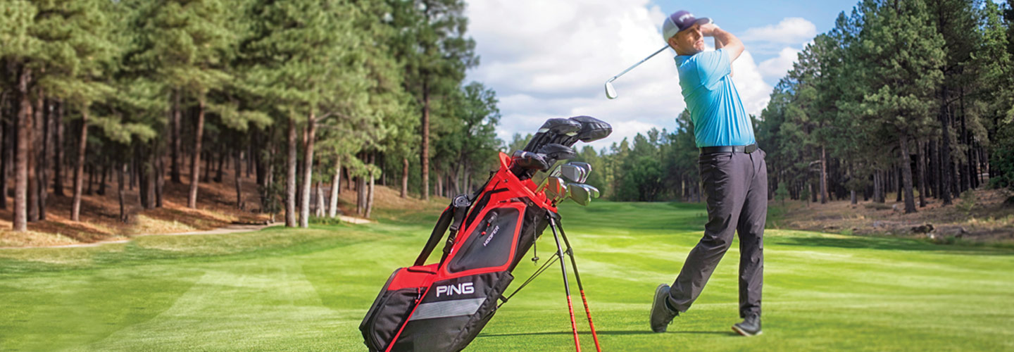 Page d'accueil - PING